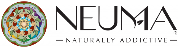 Absolute Hair – Where beauty comes naturally…